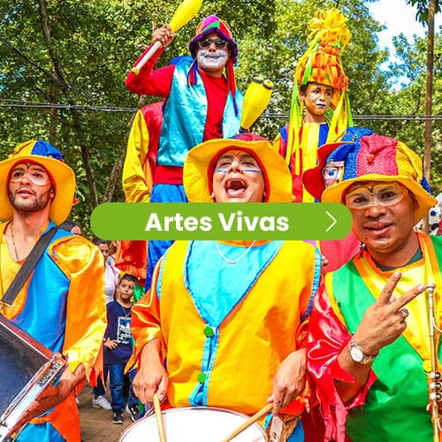 Formulario Artes Vivas 2023 | Bazar de la confianza | ¡Lo que somos y ...